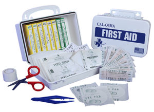 CAL OSHA 10 (1-5 Person) - Certified Safety